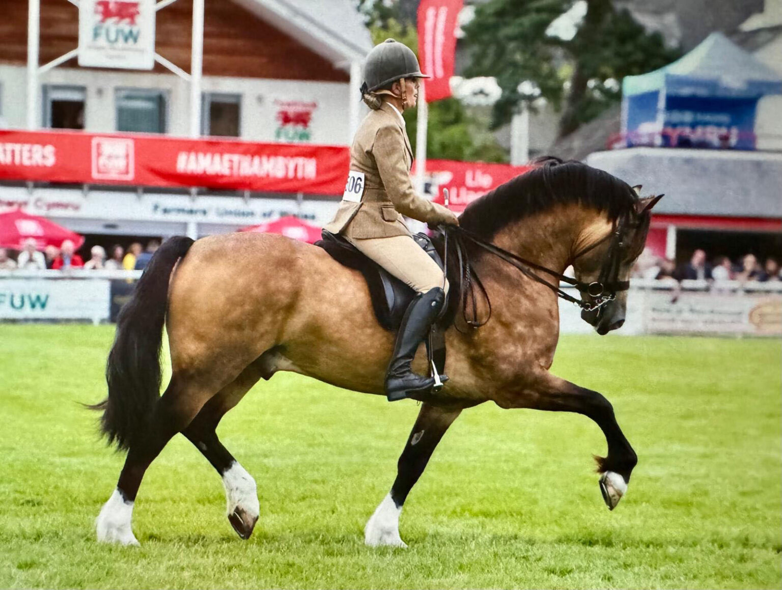 Meet the Team: Anna - Stuart Morris -Textile Design & Print UK